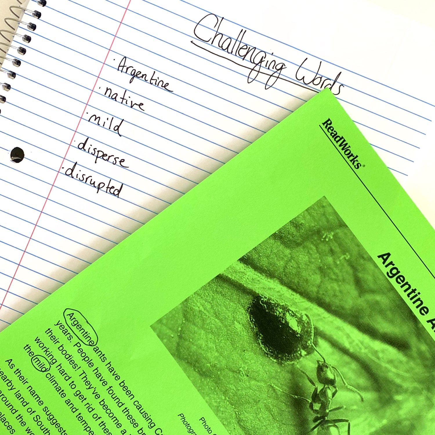 Building Vocabulary Activities in A 3rd Grade Classroom - Glitter in Third