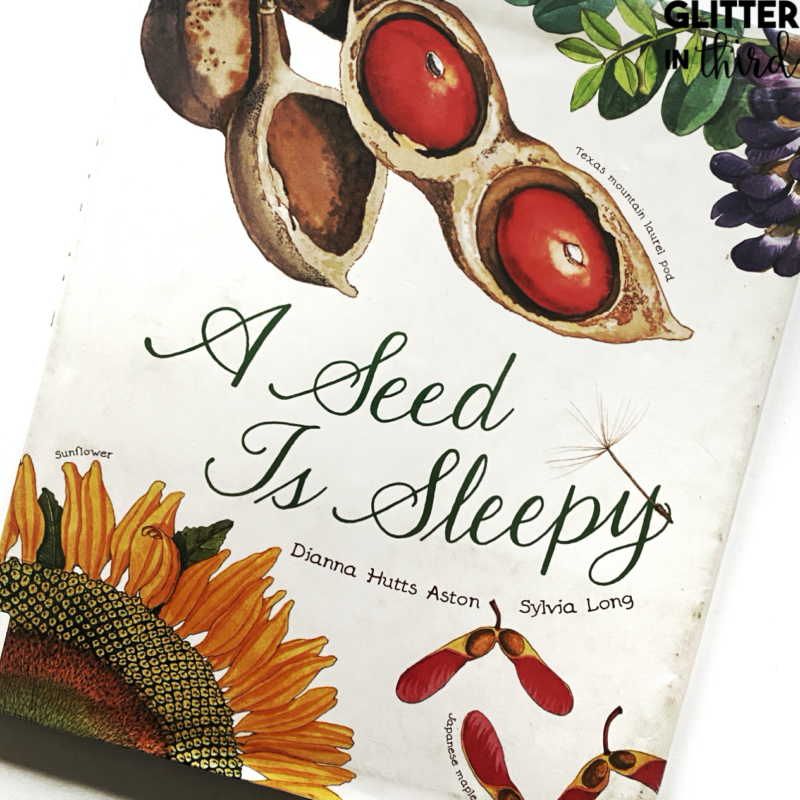 Plant Life Cycle Activities to Use In Your Science Class - Glitter in Third