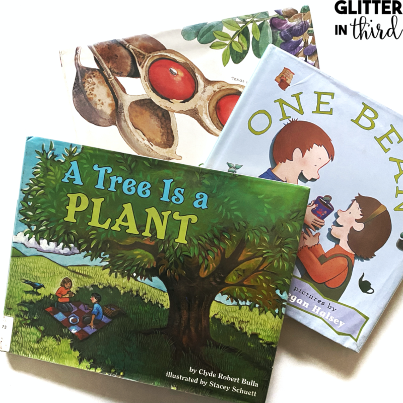 Plant Life Cycle Activities to Use In Your Science Class - Glitter in Third