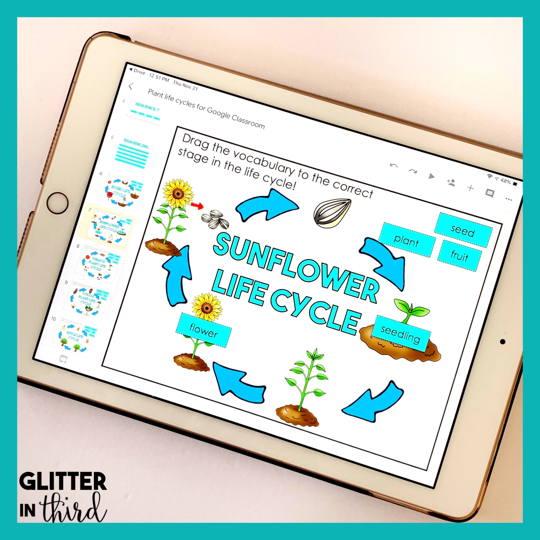 How to Teach Life Cycles Activities and Lessons - Glitter in Third