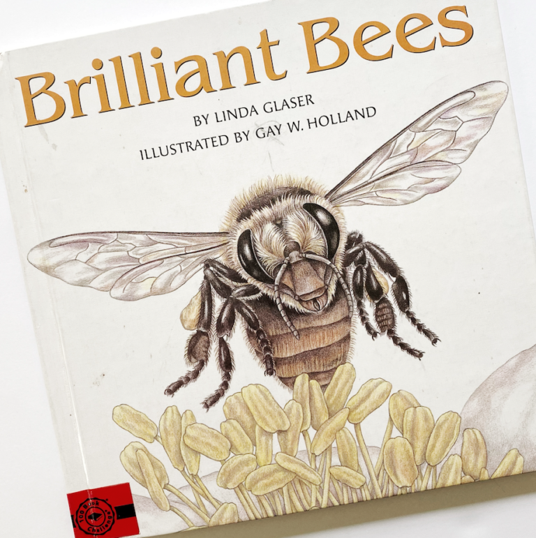 How to Teach Life Cycles Activities and Lessons - Glitter in Third