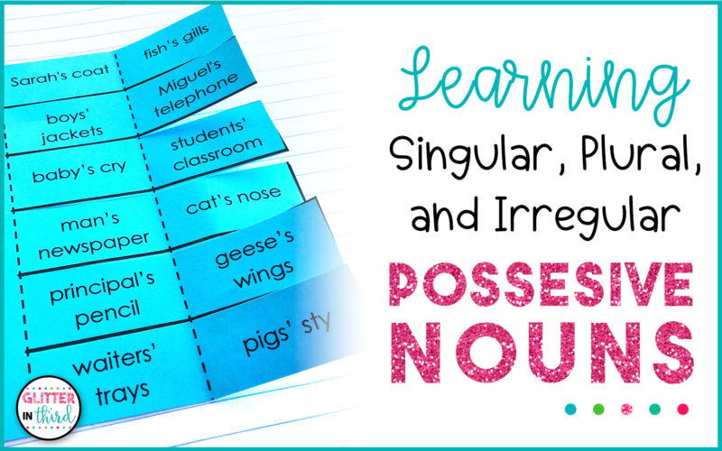 How to Master Possessive Nouns in 3rd Grade - Glitter in Third