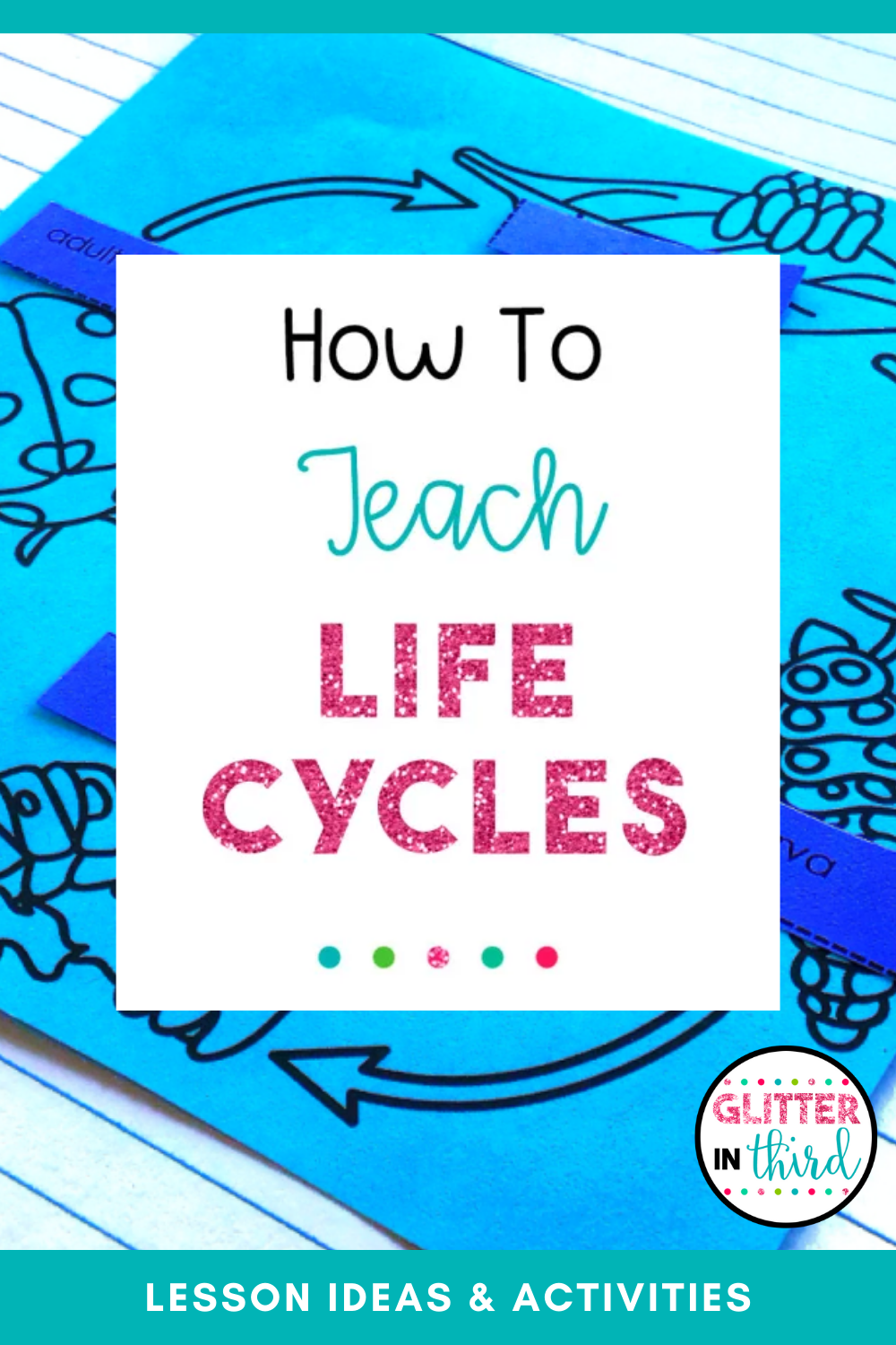 How to Teach Life Cycles Activities and Lessons - Glitter in Third