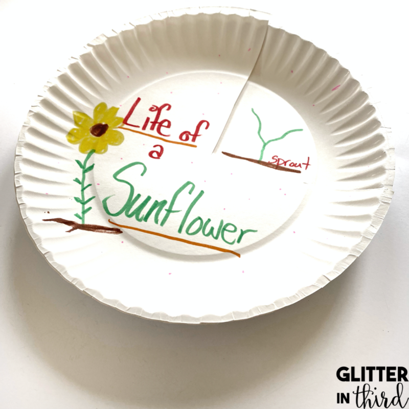 Plant Life Cycle Activities to Use In Your Science Class - Glitter in Third