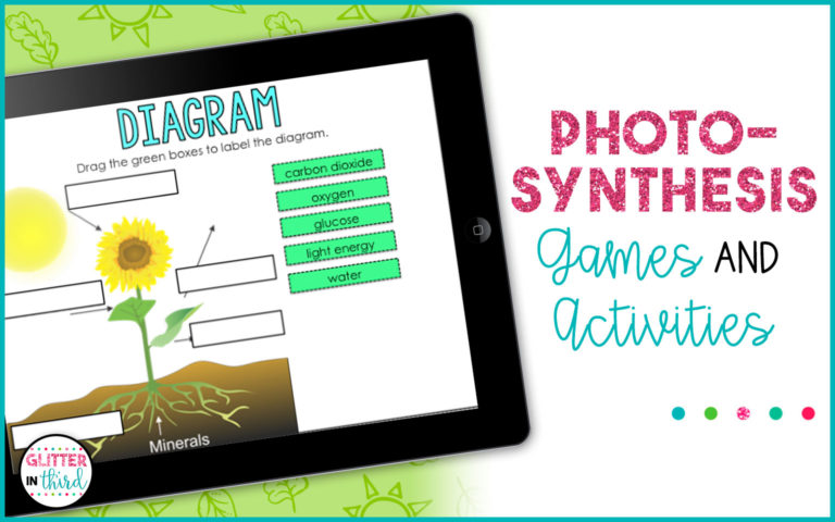 Photosynthesis Activities and Games For Teachers - Glitter in Third