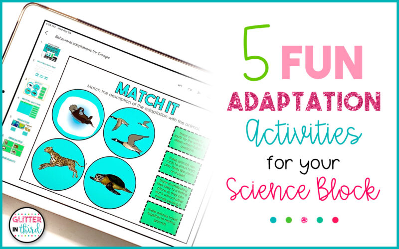 5 Fun Adaptation Activities for Your Science Block - Glitter in Third