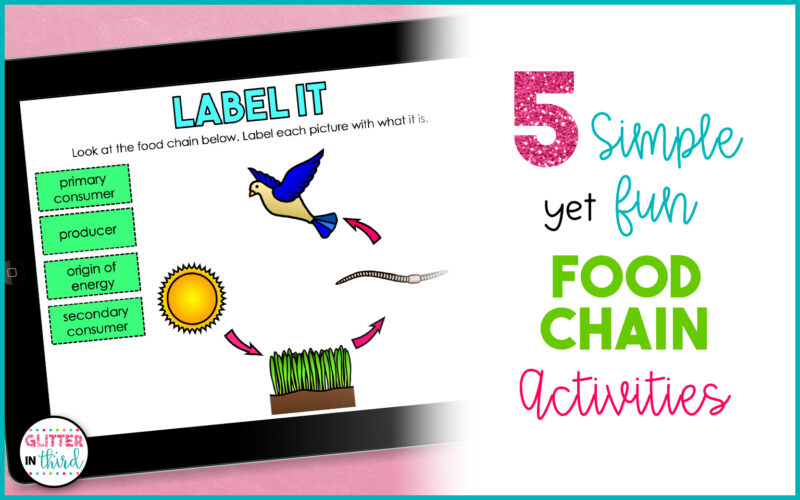 5 Simple Yet Fun Food Chains Activities - Glitter in Third