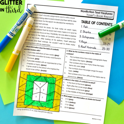The BEST Nonfiction Text Features Worksheets - Glitter in Third