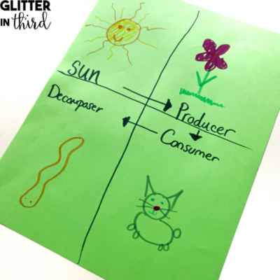 5 Simple Yet Fun Food Chains Activities - Glitter in Third