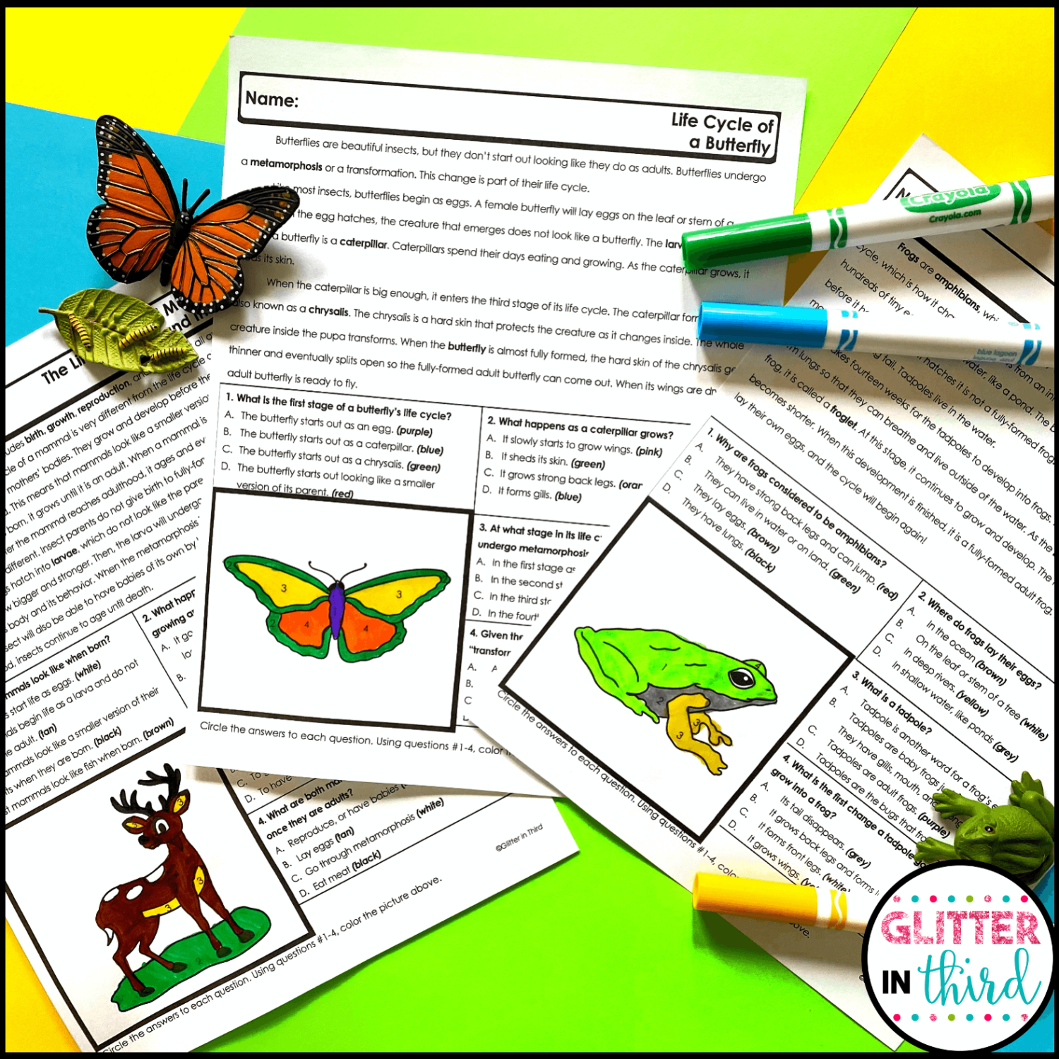 How to Teach Life Cycles of Plants: Activities, Worksheets, and Ideas ...