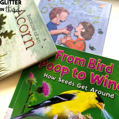 How to Teach Life Cycles of Plants: Activities, Worksheets, and Ideas ...