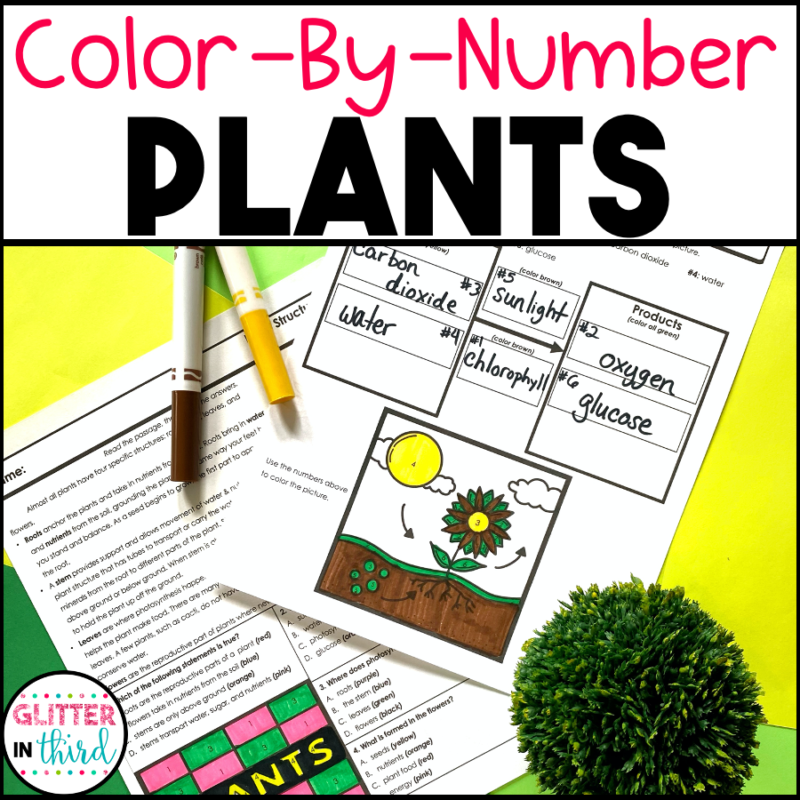 Plants & Photosynthesis Worksheets Color-By-Number - Glitter in Third