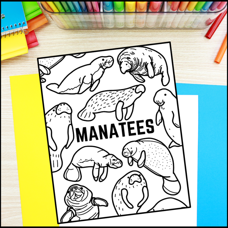 Oceans Coloring Pages Sheets - Glitter in Third