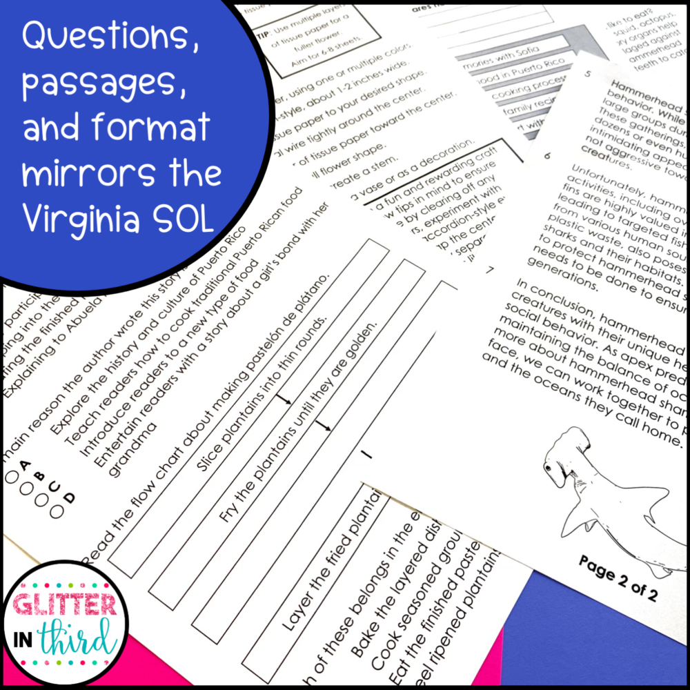 4th Grade Reading SOL Review - Glitter in Third