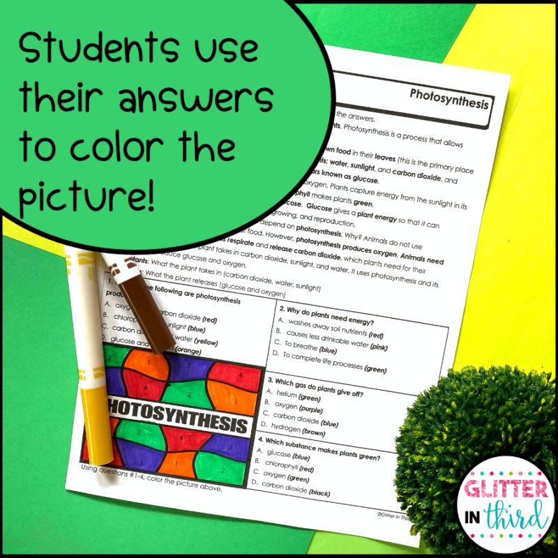 Plants & Photosynthesis Worksheets Color-By-Number - Glitter in Third