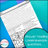 Winter Reading Comprehension Color By Number Worksheets - Glitter in Third