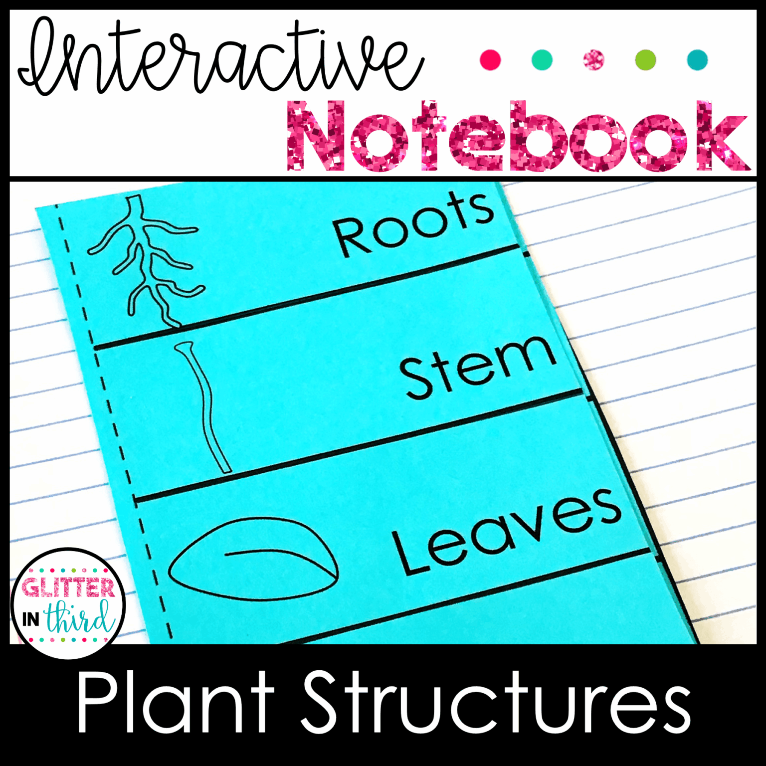 Parts of a Plant Activities Interactive Notebook - Glitter in Third