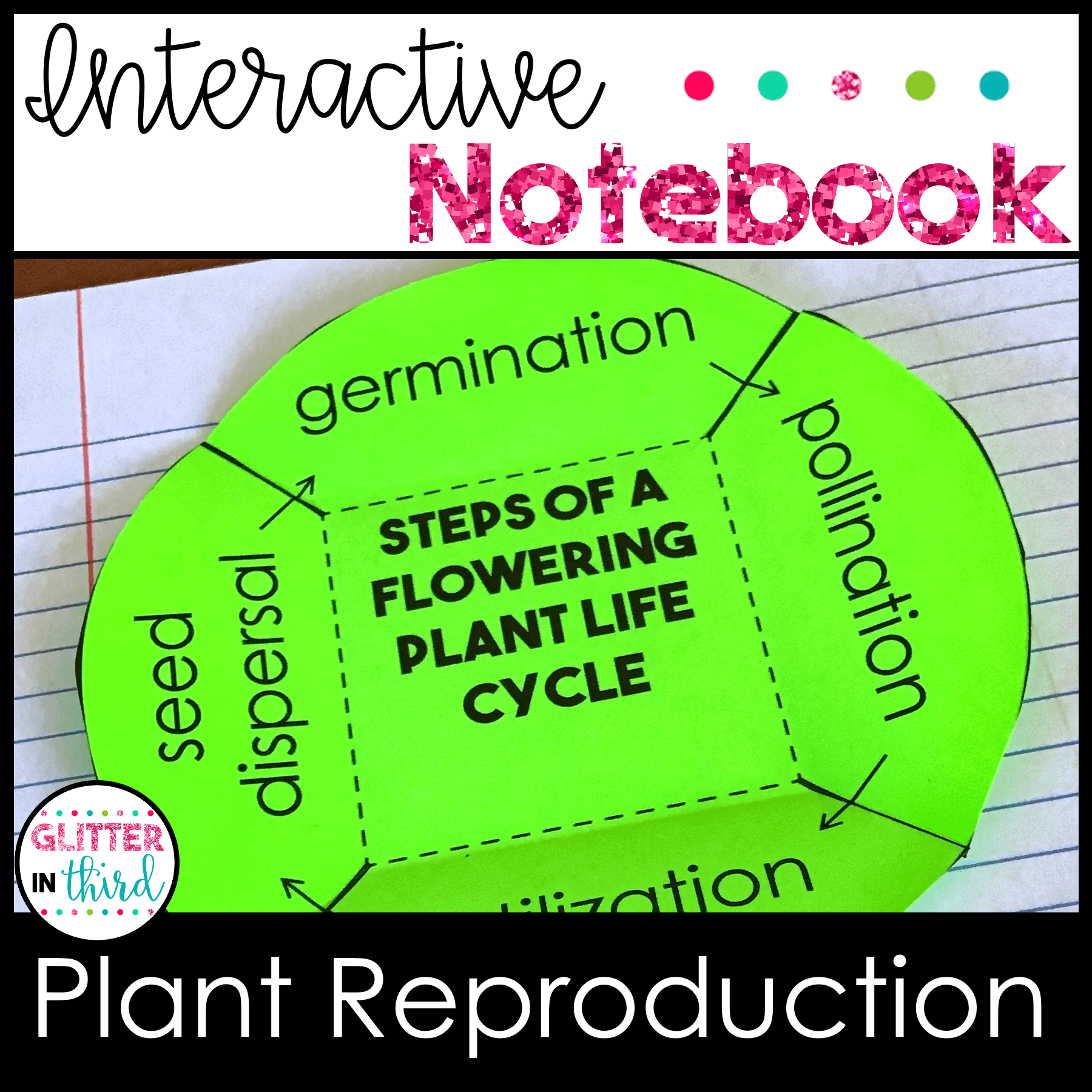 Plant Reproduction Activities Interactive Notebook - Glitter in Third