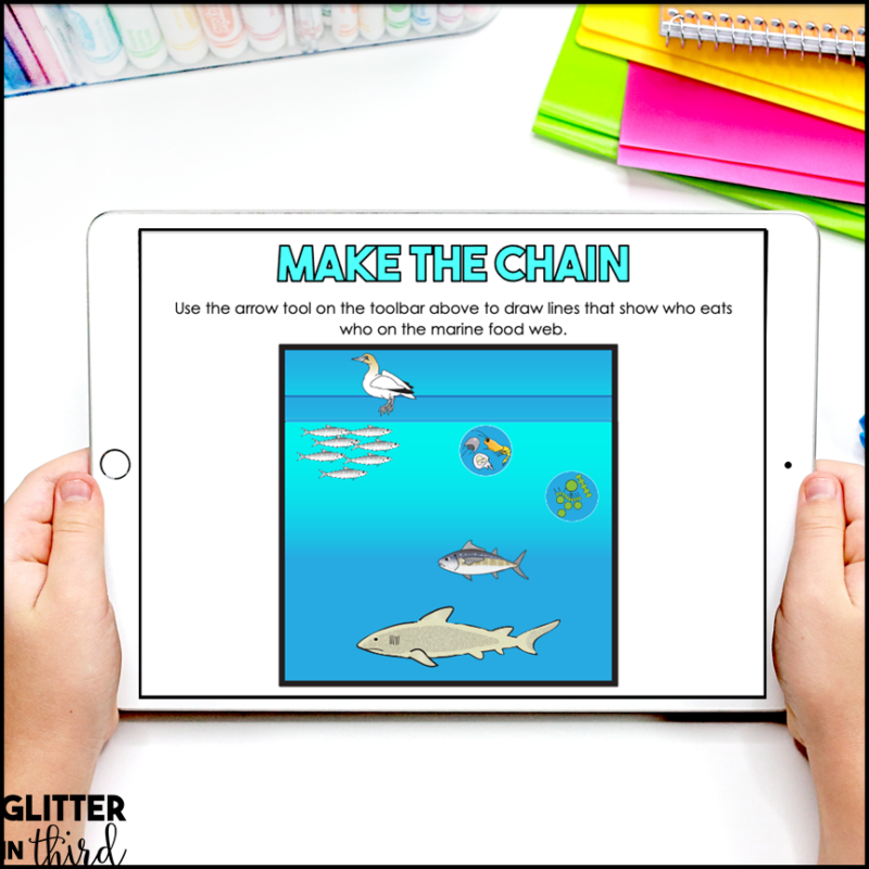 Ocean Animals, Habitat, & Marine Food Chain Activities & Reading ...