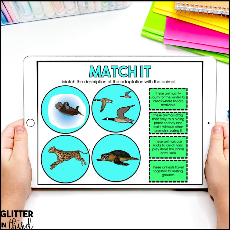 Animal Adaptations Camouflage & Mimicry Activities & Reading Passages ...