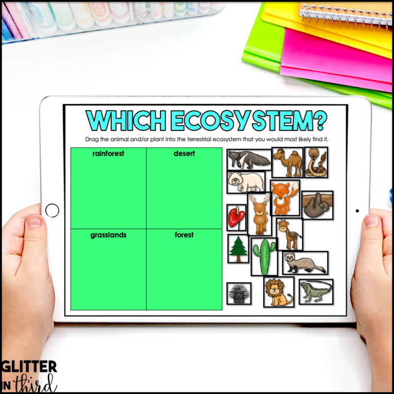 Animal Habitats & Ecosystems Activities & Reading Passages for Google ...