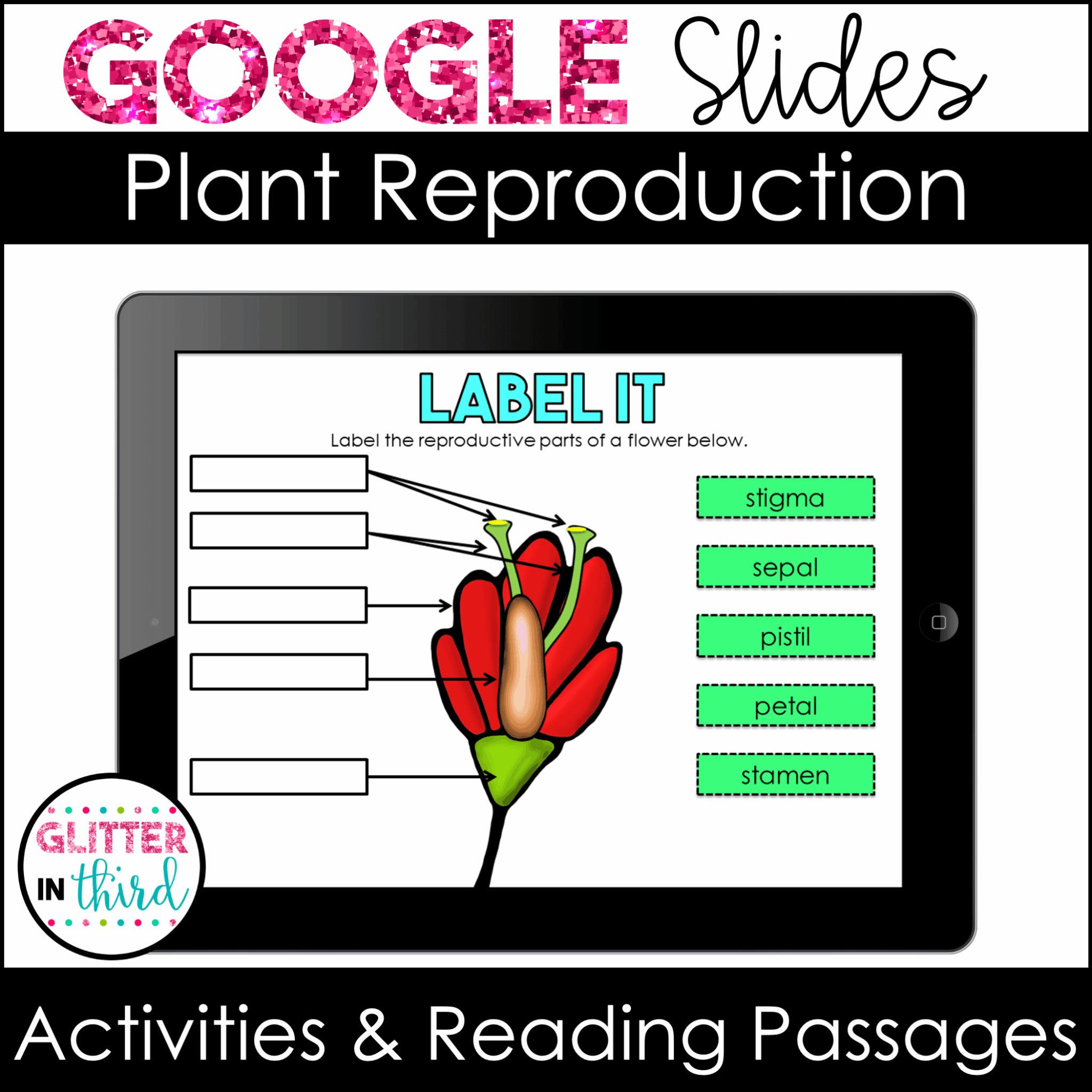 Plant Reproduction Activities & Reading Passages for Google Classroom ...