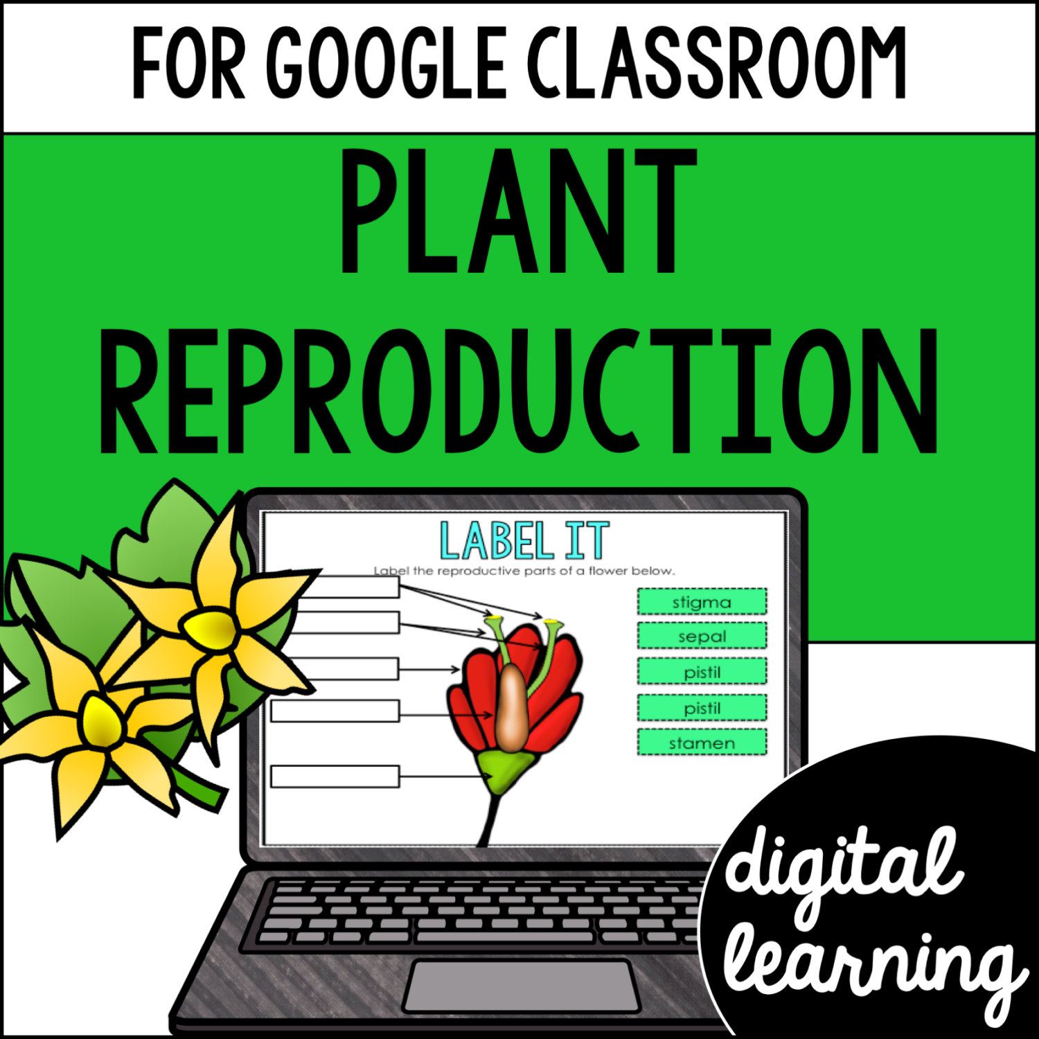 Plant Reproduction Activities & Reading Passages for Google Classroom ...