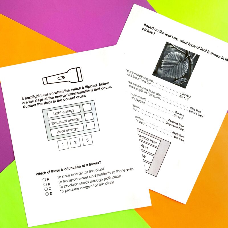 How to Help Your 5th Grader Succeed on the Virginia Science SOL ...