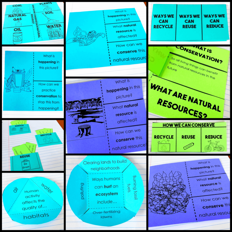 Conservation of Natural Resources Interactive Notebook SOL 3.8 ...
