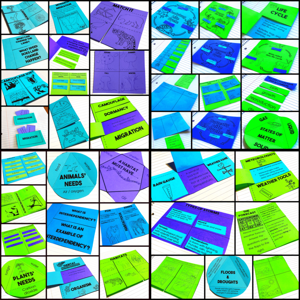 2nd Grade Science Interactive Notebook Activities Bundle - Glitter in Third