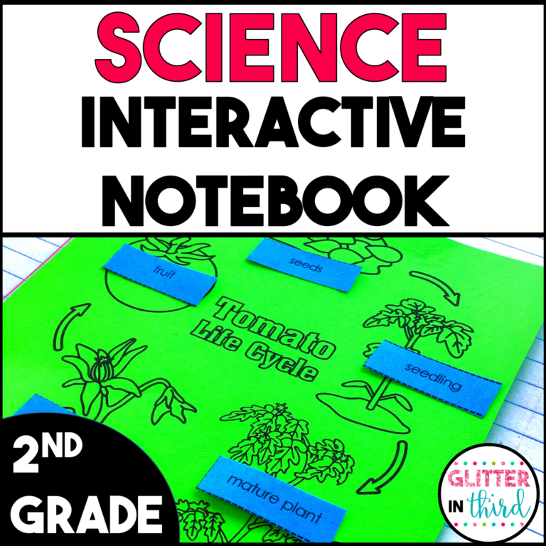2nd Grade Science Interactive Notebook Activities Bundle - Glitter in Third