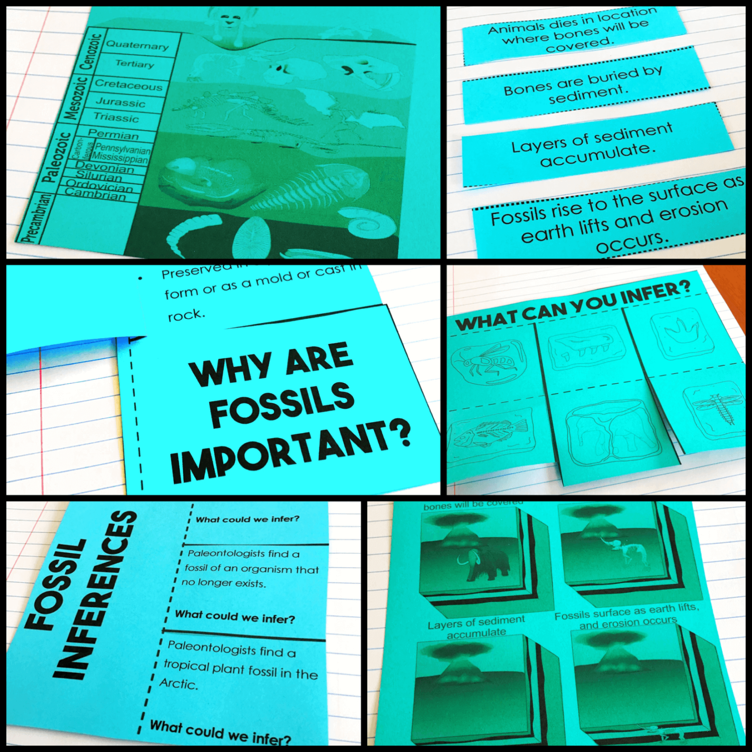 3rd Grade Fossils Activities Interactive Notebook - Glitter in Third