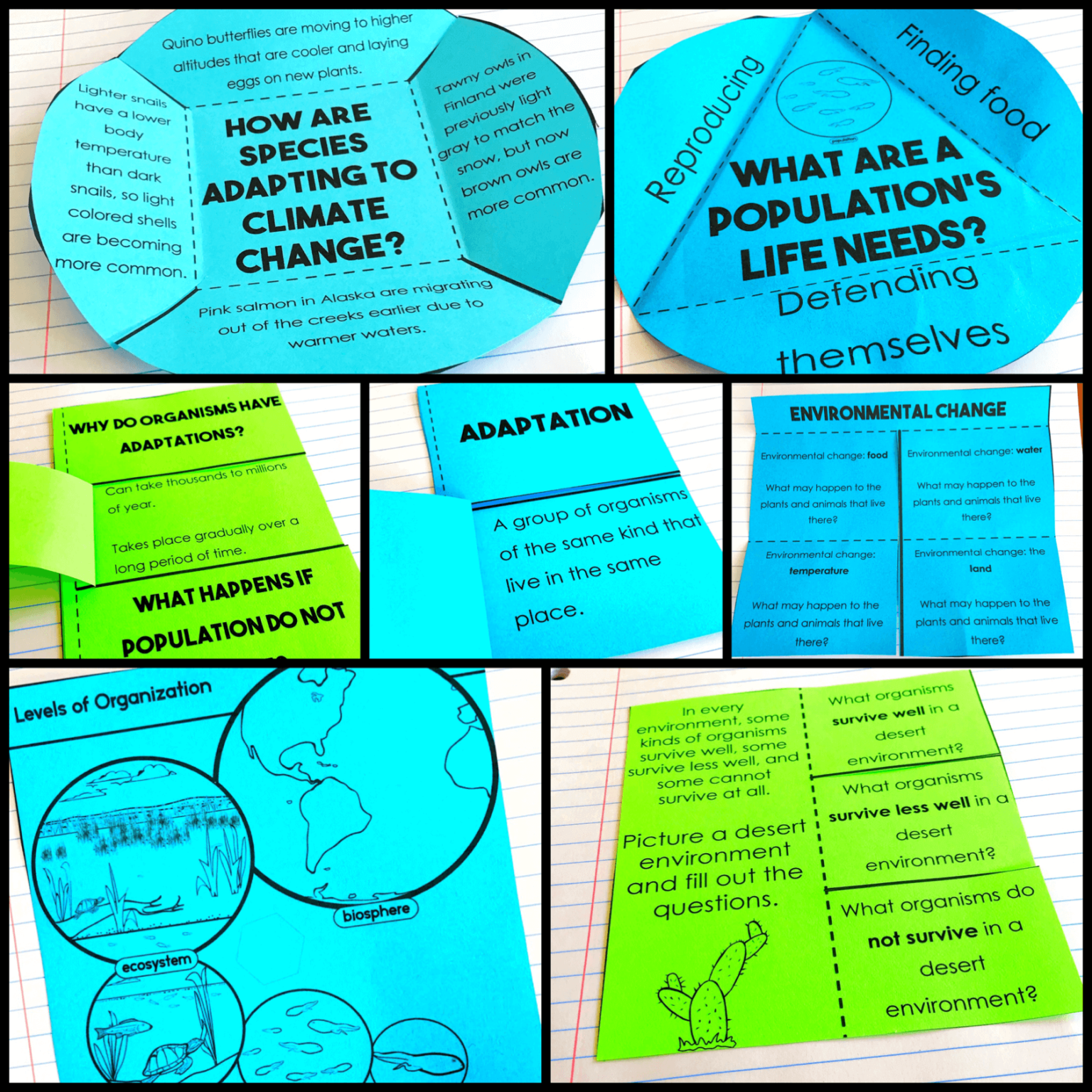 Animal Adaptations & Populations Interactive Notebook SOL 3.4 - Glitter ...