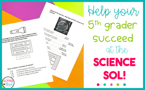 How to Help Your 5th Grader Succeed on the Virginia Science SOL ...