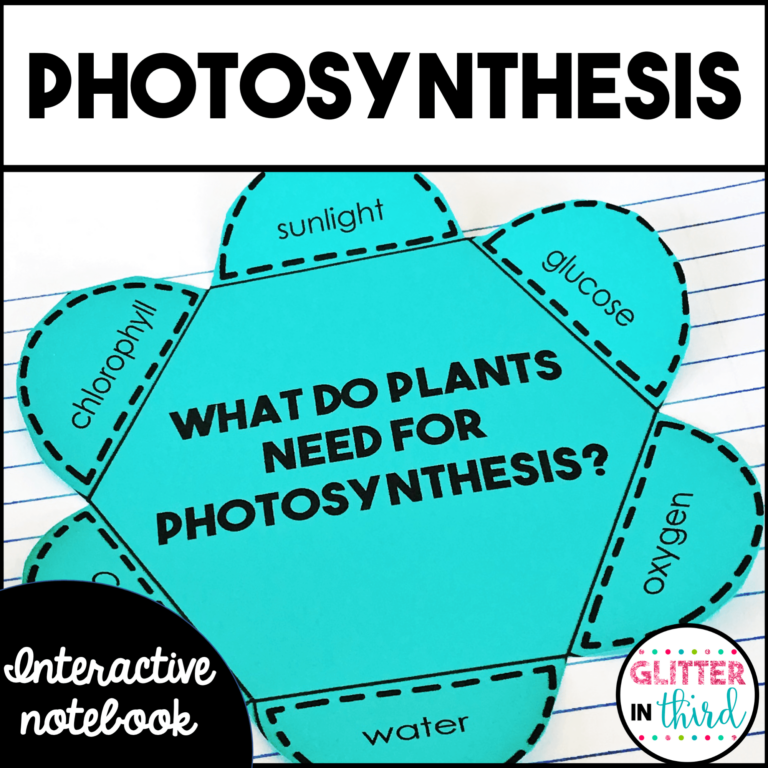 Photosynthesis Activities Interactive Notebook - Glitter in Third