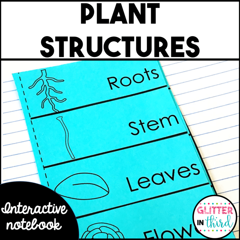 Parts of a Plant Activities Interactive Notebook - Glitter in Third