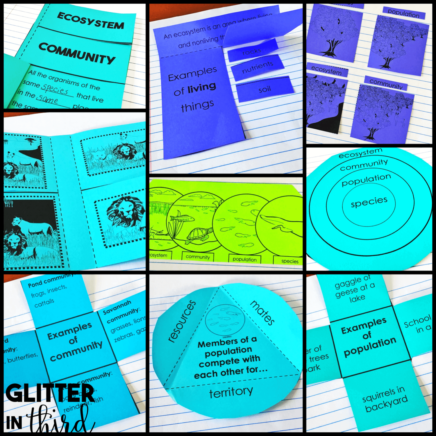 Population, Community, & Ecosystems Activities Interactive Notebook ...