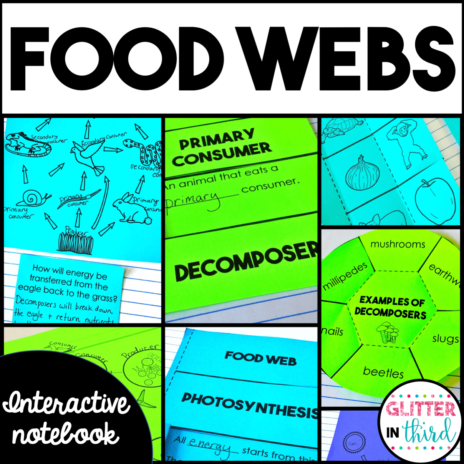 Food Chains and Food Webs Producers Consumers Decomposers Interactive ...