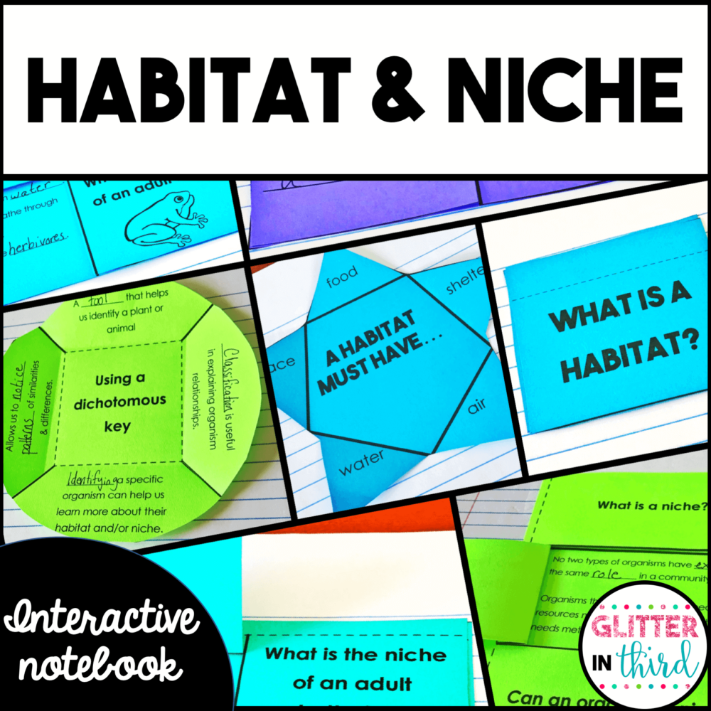 Animal Habitat and Niche Activities Interactive Notebook - Glitter in Third