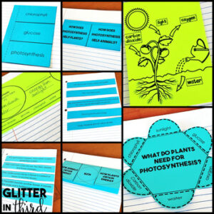 Photosynthesis Activities Interactive Notebook - Glitter in Third