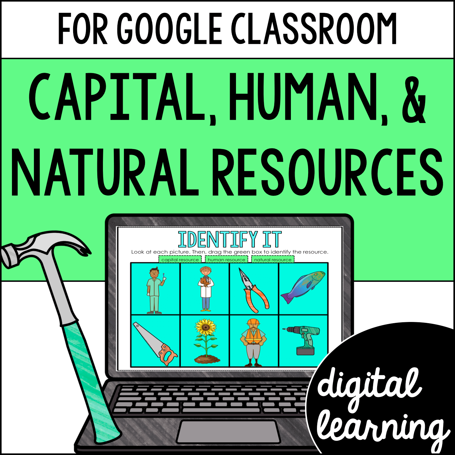 Natural, Human, & Capital Resources for Google Classroom Economics ...