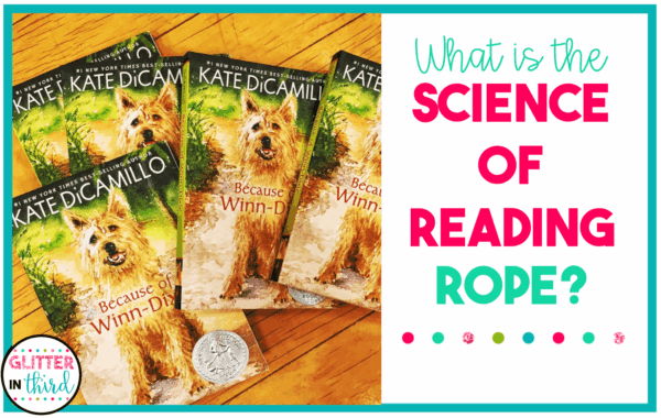 What Is the Science of Reading Rope—and How Can You Use It in Your ...